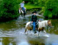Pine River Riding Stable - A Horse For Every Rider - Hay Rides